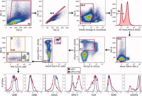 A Novel Ly6c Ly6g‐based Strategy To Analyze The Mouse Splenic Myeloid Compartment Rose 2012