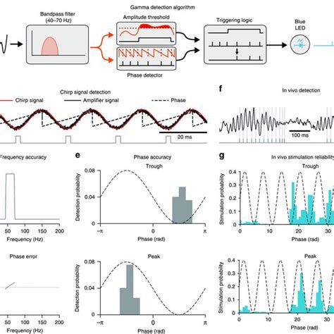 Description Of Gamma Detection Method And Accuracy Assessment A Gamma Download Scientific