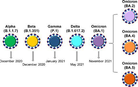 Figure 1 From Detection Of Circulating Sars Cov 2 Variants Of Concern Vocs Using A