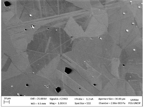 Sem Bse Micrograph Of The Inconel 718 As Received Download Scientific Diagram