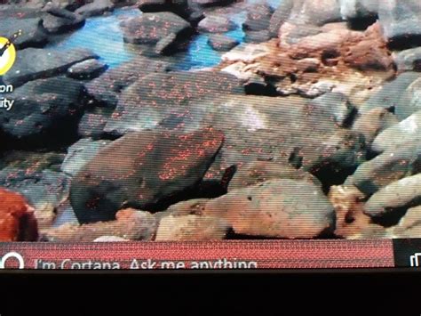 PC To TV HDMI Connection No Audio Visuals Windows Forums