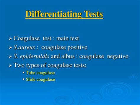 PPT STAPHYLOCOCCI PowerPoint Presentation ID