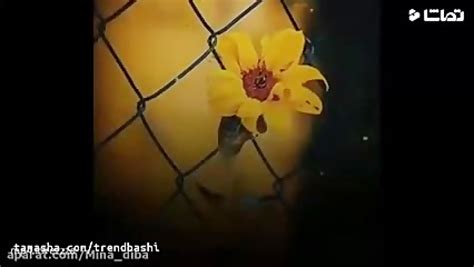 استوری غمگین ترکیه ای