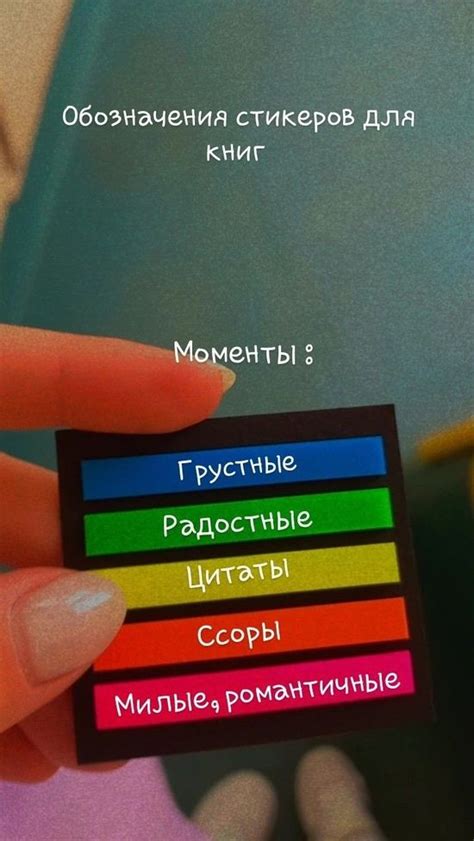 Саша КВ Милые рисунки Иллюстрации арт Рисунки животных