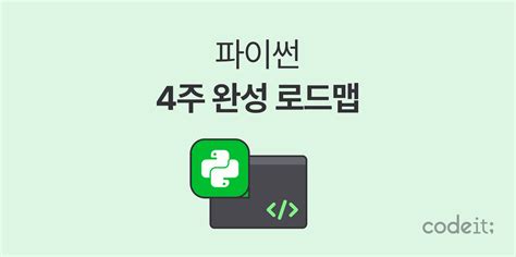파이썬 딱 4주 만에 끝내는 공부 로드맵