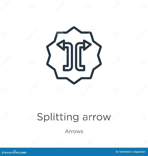 Splitting Arrow Icon Thin Linear Splitting Arrow Outline Icon Isolated