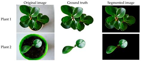 symmetry free full text dragonfly algorithm with opposition based learning for multilevel