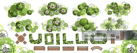 조경 설계 계획에 대한 Webtop 보기 요소입니다 건축 평면도를 위한 나무와 벤치 측근 디자인 다양한 나무 덤불 및 관목 벡터 일러스트 레이 션입니다 가구에 대한 스톡