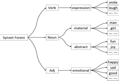 A Rough Overview Of The Synset Forest In Textual Sentiment Perception Download Scientific Diagram