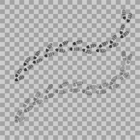 Steps Vector Pattern Premium Vector