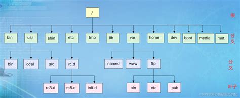 Linux中：目录和文件管理linux文件夹管理 Csdn博客