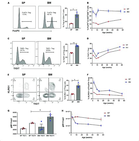 Bm Treg Represent A Heterogenous And Phenotypically Distinct Download Scientific Diagram