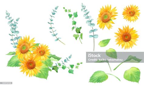 해바라기와 녹색 잎의 프레임 장식 수채화 일러스트레이션 의 요소 세트입니다 부케에 대한 스톡 벡터 아트 및 기타 이미지 부케 해바라기 수채화 Istock