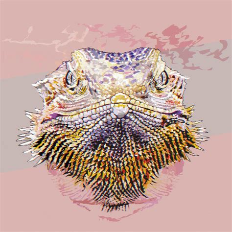 Animated Bearded Dragon By Jolieledeni On Deviantart