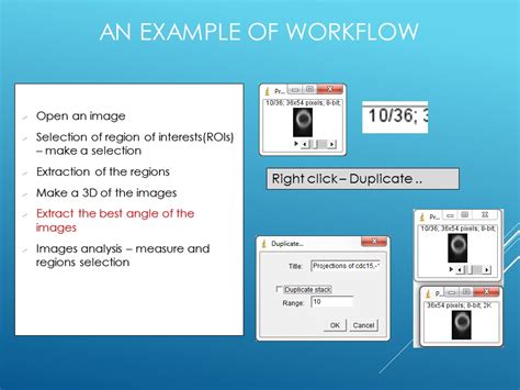 using imagej for batch image processing and analysis bin wei phd