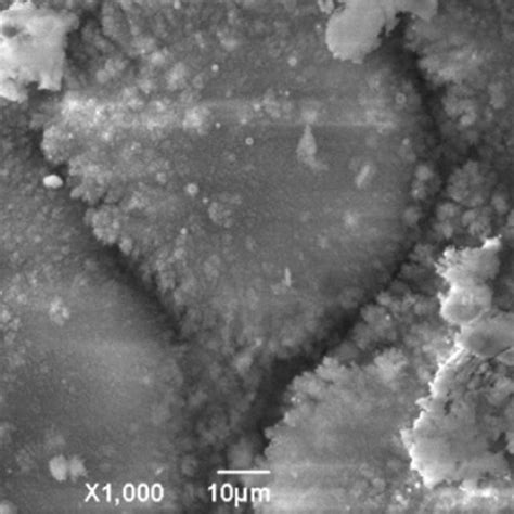 Nanosecond Laser Surface Processing Of Aln Ceramics Request Pdf