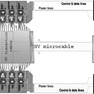 Picture Of A Complete SDD Module Download Scientific Diagram