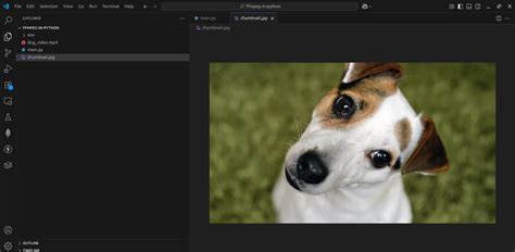 a beginner s guide to ffmpeg in python cloudinary