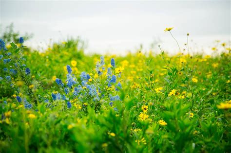 Educare Foundation Added A New Photo Educare Foundation