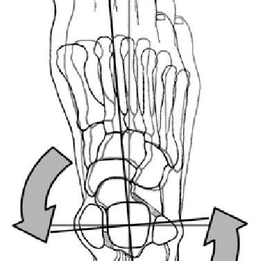 Combined External Rotation And Posterior Translation Of The Tibia And Download Scientific