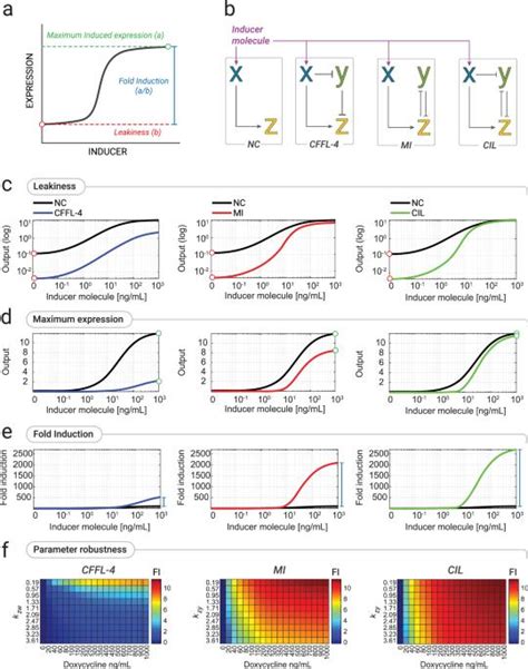 Engineering A Synthetic Gene Circuit For High Performance Inducible