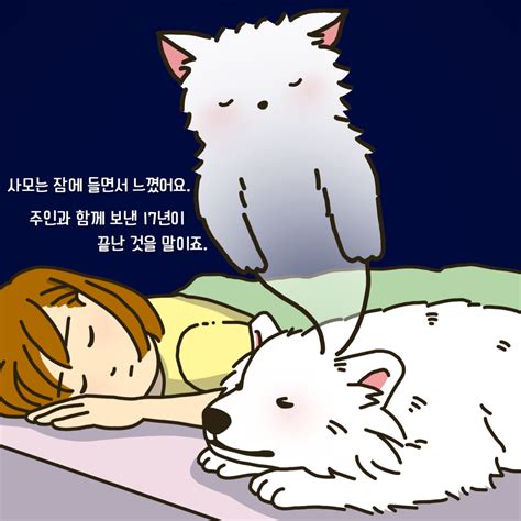강아지 만화 사모스토리 1화 무지개 다리를 건너 비마이펫 크리에이터즈