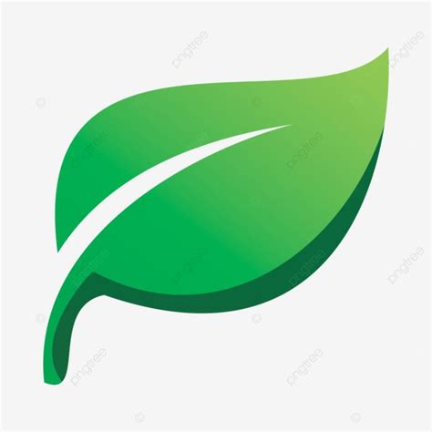 One Fresh Cartoon Green Leaf Vector And Png