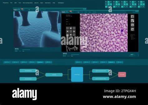 Data Scientific Stock Videos And Footage Hd And 4k Video Clips Alamy