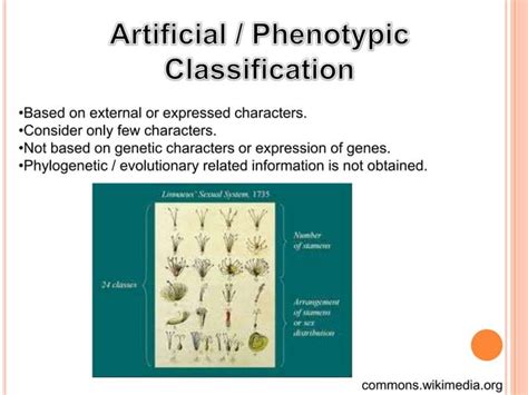 Microbial Taxonomy And Classification System Pptx Biological Sciences Science