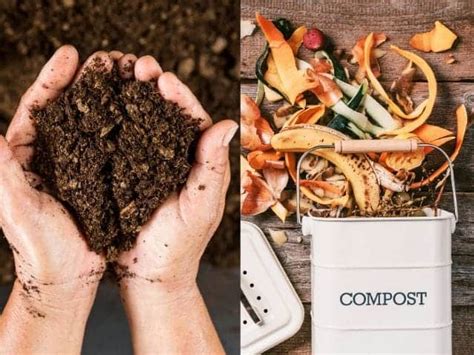 Active Composting Vs Passive Composting Thriving Yard