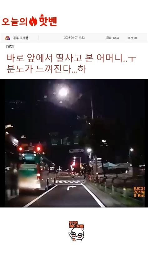 웃기면개추 Funmococo • Instagram Photos And Videos