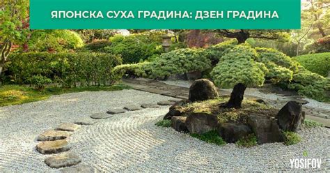 Разсадник за декоративни растения Йосифов