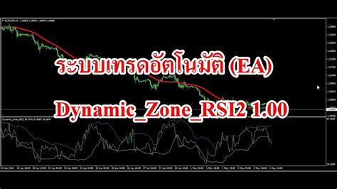 Dynamic Zone RSI2 YouTube