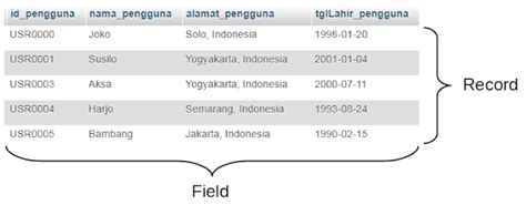 Pengertian Database Dan Fungsi Kegunaan Database Langit Tutorial