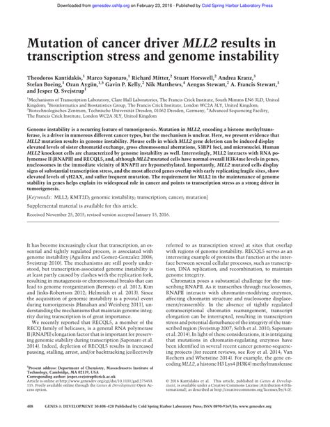 Pdf Mutation Of Cancer Driver Mll2 Results In Transcription Stress
