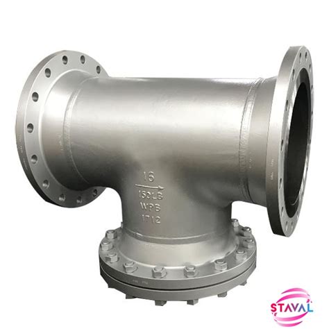 China Tee Strainer 16inch 150lb Wpb Manufacturers