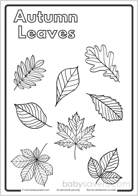 Free Printable Fall Leaf Coloring Pages