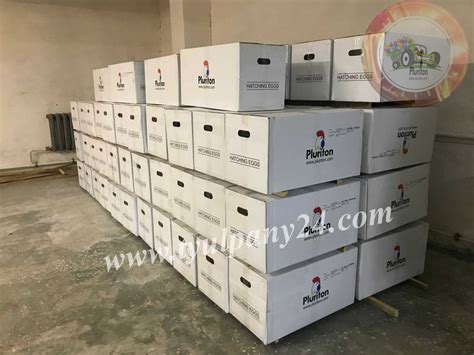 Тюльпаны оптом фото Красноярск тюльпаны по цене склада