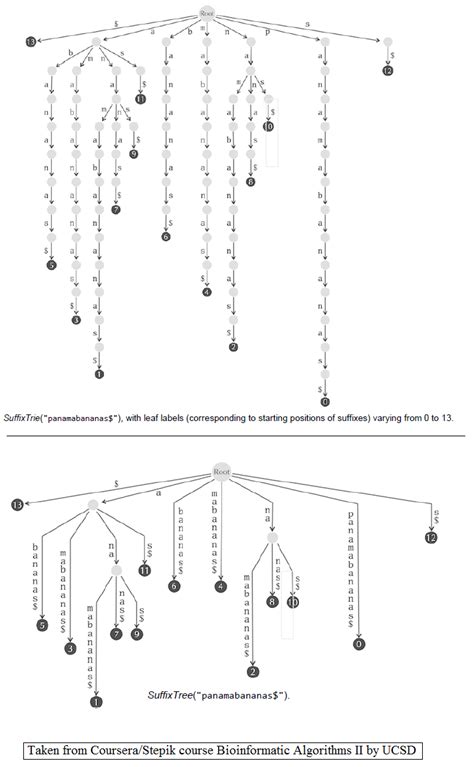 Some Bioinformatics Suffix Tree Construction And The Longest Repeated