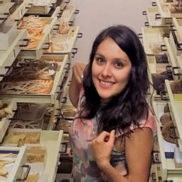 Andrea Alejandra Caballero Ochoa Red Iberoamericana De Equinodermos