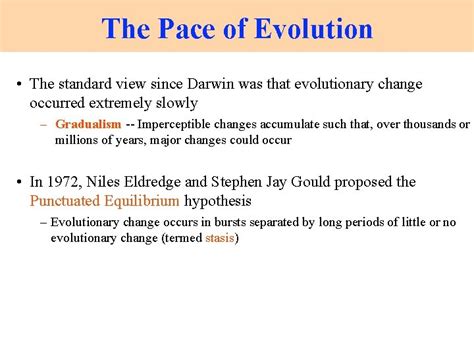 The Pace Of Evolution The Standard View Since