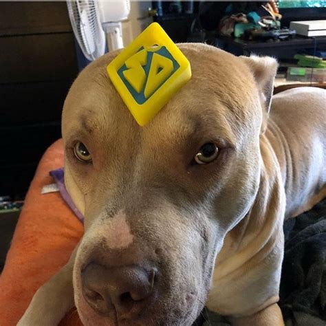 Silo Code Launch Piece 3d Print Etsy