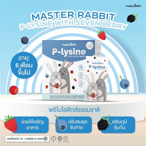 Shop Master Rabbit