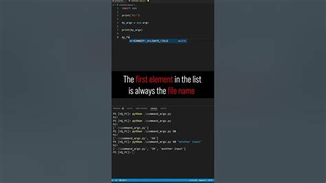 Python Command Line Arguments Shorts Python Programming Coding