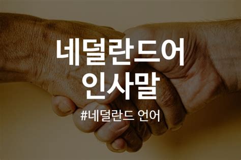 네덜란드언어 네덜란드어 인사말 정복하기 네이버 블로그