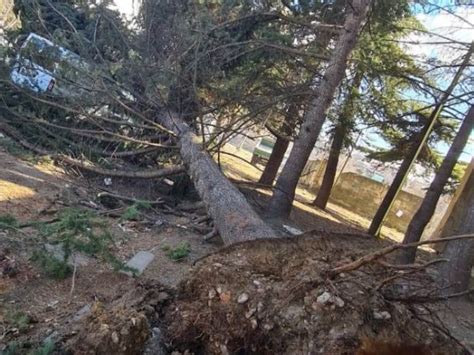 რა ბედი ელის ალავერდის სამონასტრო კომპლექსს და რა განცხადებას ავრცელებს კულტურული მემკვიდრეობის