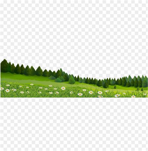 PNG Image Of Trees And Grass With A Clear Background Image ID TOPpng