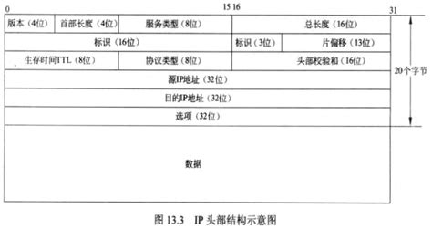 linux网络编程（十二）原始套接字 chenjy2019 博客园