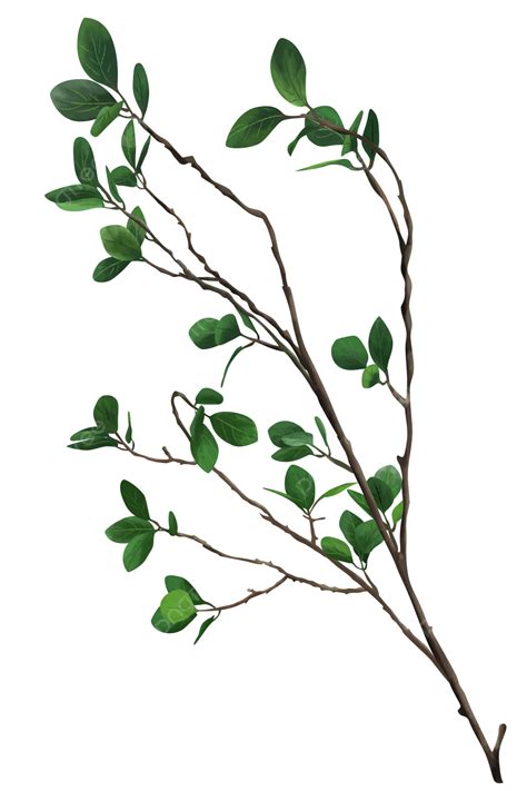 시뮬레이션 가지와 새 일러스트 잎 잎 새로운 잎 이파리 Png 일러스트 및 Psd 이미지 무료 다운로드 Pngtree