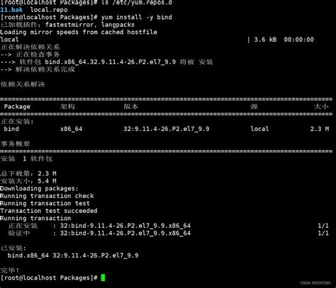 Linux的dns域名解析服务
